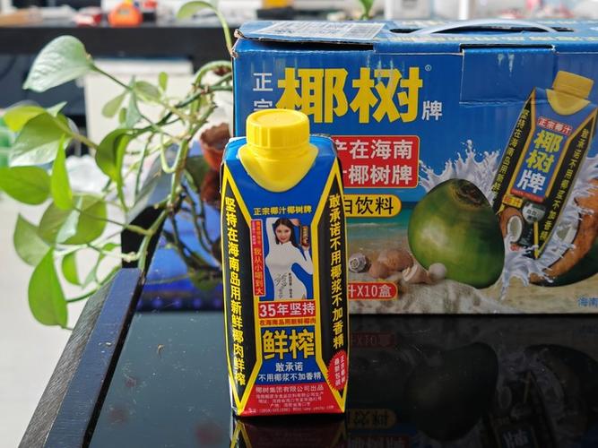 十大品牌椰子汁排行榜图标
