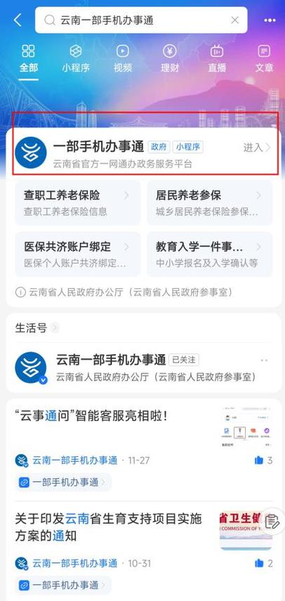 云南办事app下载安装图标