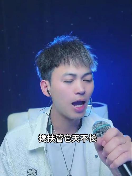 有声音一模一样的人吗图标