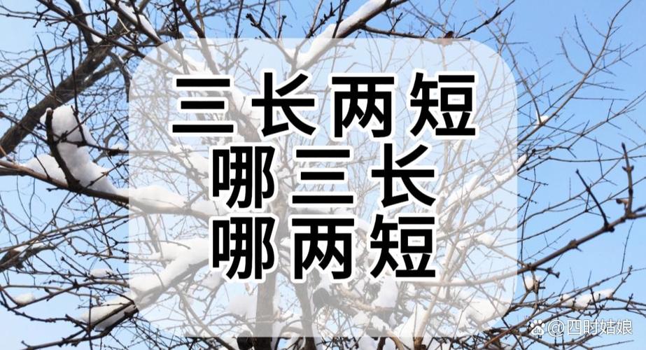 三短三长三短图标