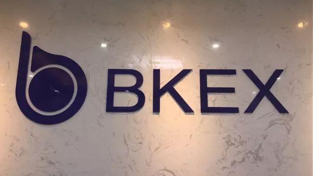 币客bkex交易所图标