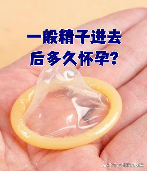 精子进去后多久会怀孕截图