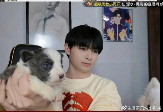 猫猫狗狗兑换码2024图标