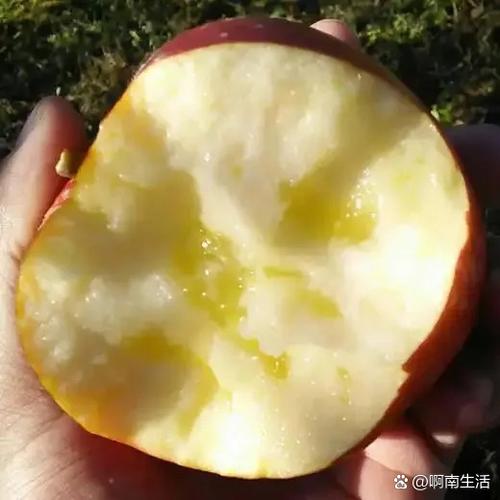 苹果1453是苹果几