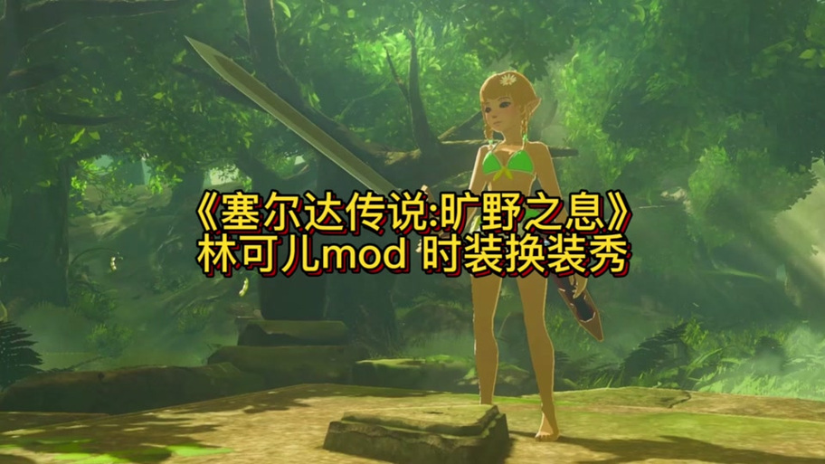 旷野之息mod图标