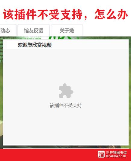 网页显示该插件不受支持图标