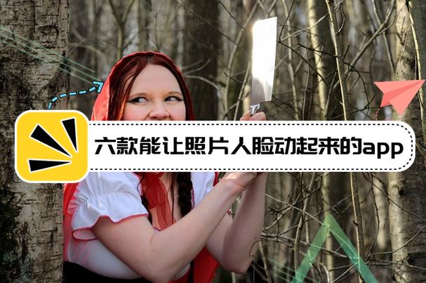 人脸跟拍APP截图