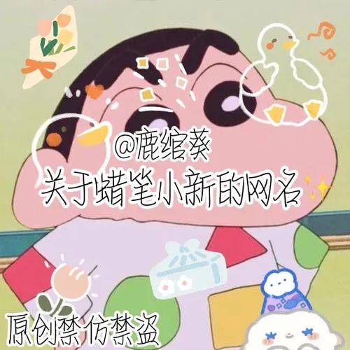 蜡笔小新专属网名截图