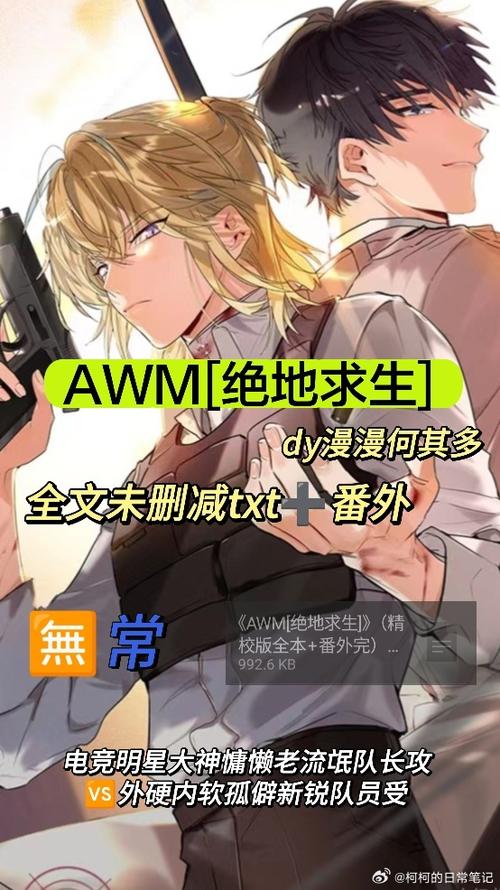AWM[绝地求生]TXT下载图标