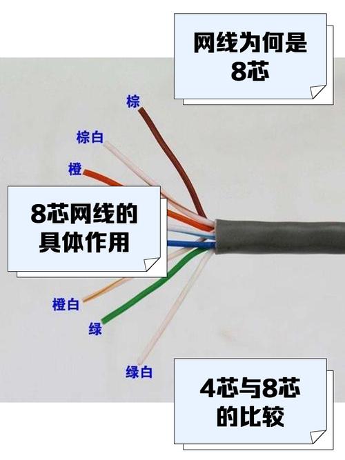 8芯光纤线序图标