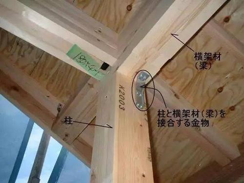 日本节点怎么用才实用图标