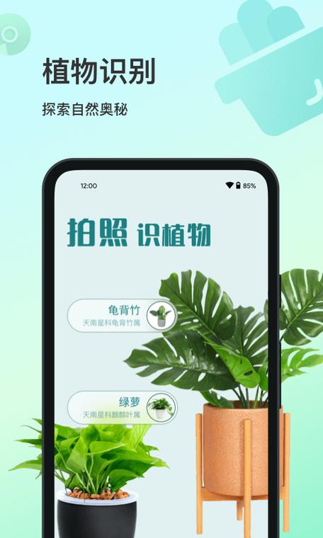 花草树木识别软件下载截图