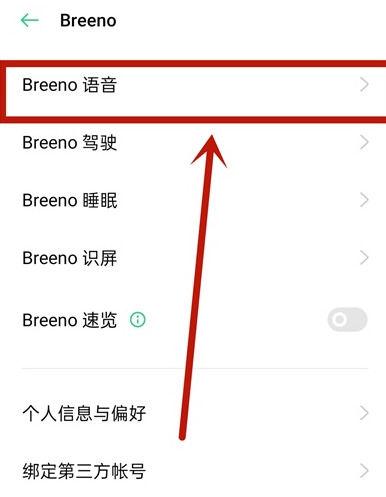ipad语音提示怎么关闭图标