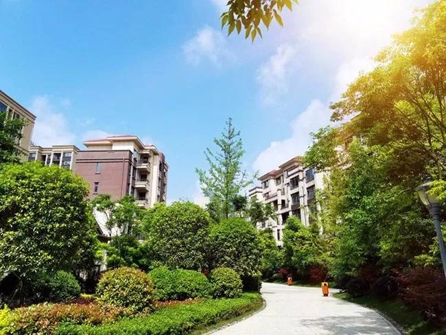 聊城荣舜房地产开发有限公司图标