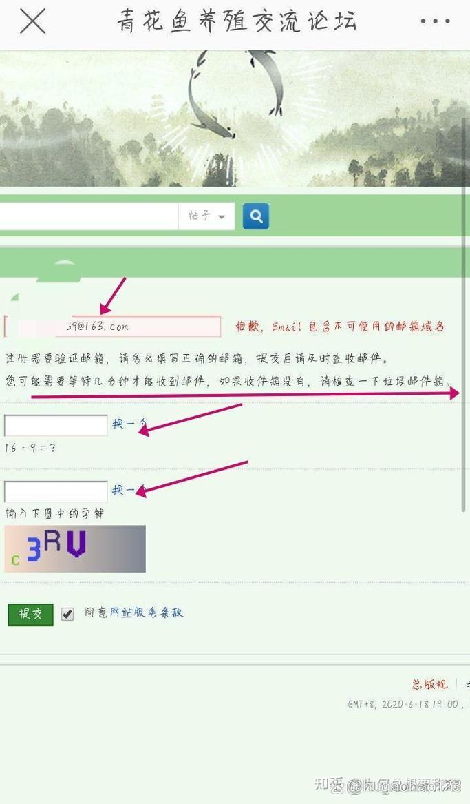 长佩旧站登陆图标