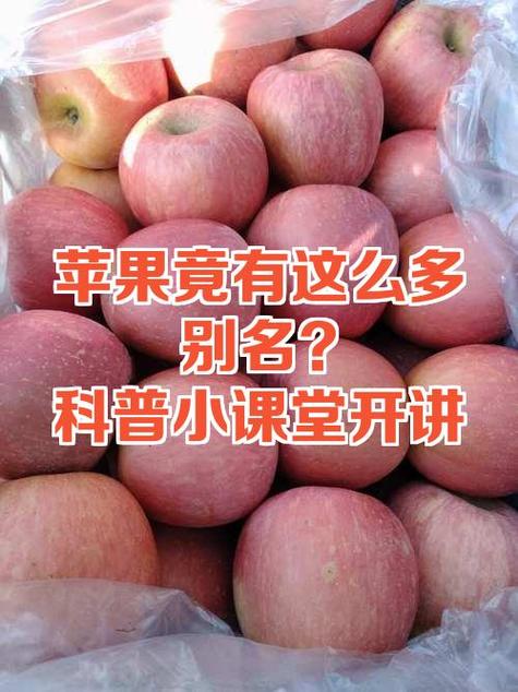 苹果的别名叫什么图标