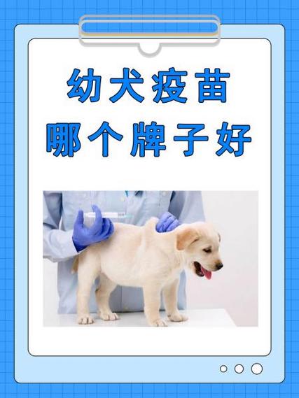 梅里亚疫苗图标