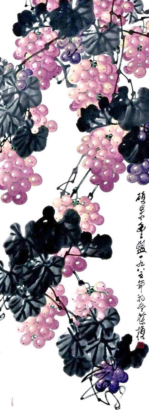 葡萄绘画作品截图