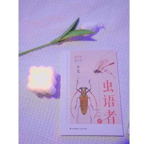 魔兽世界隐藏的虫语者箱子任务