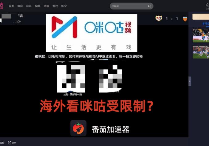 在国外怎么打开国内网站