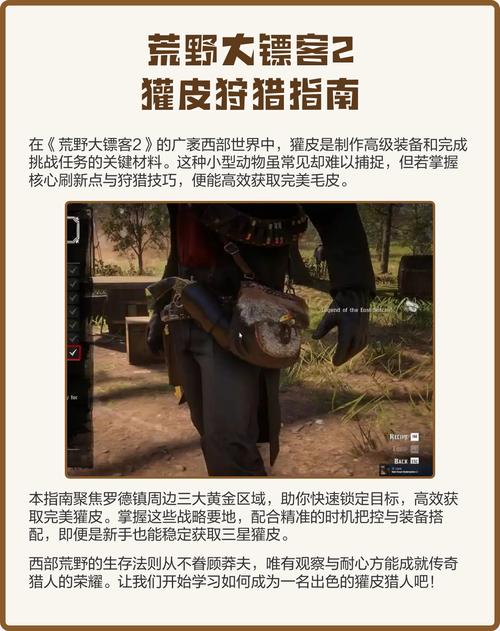 荒野大镖客2怎么储存毛皮图标