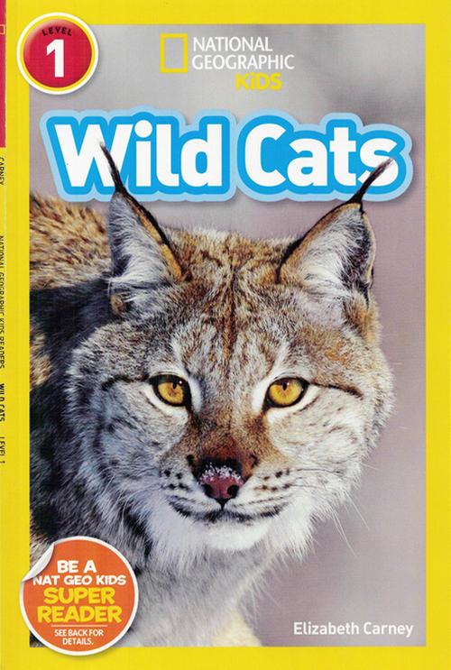 wild cats图标