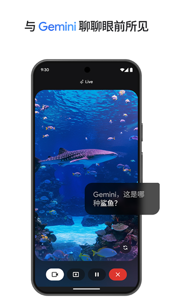 谷歌gemini下载安卓缩略图