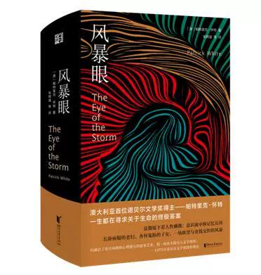 风暴眼 小说图标