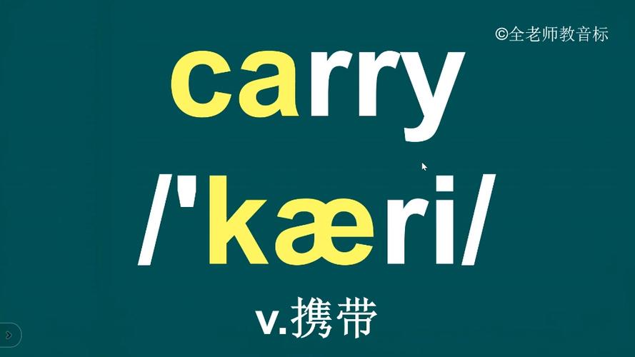 我的 carry是什么意思图标
