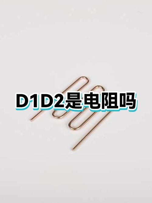 d2视频1图标
