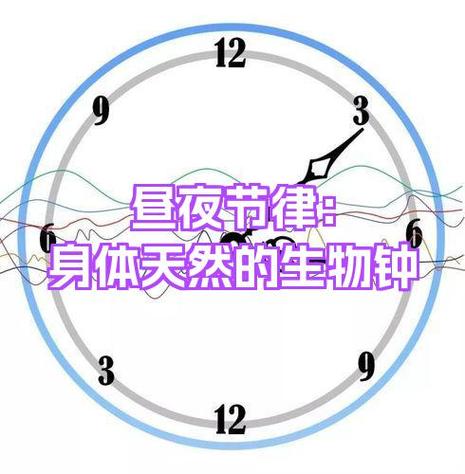 电子钟对人体有害吗截图
