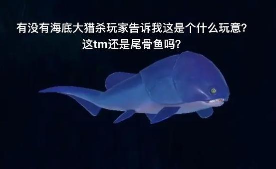 海底大猎杀游戏评测图标