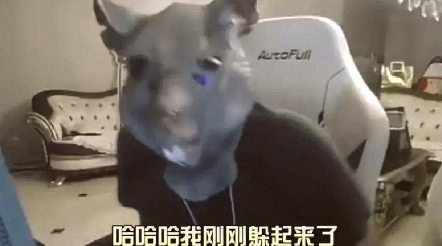 LOL老鼠怎么玩图标