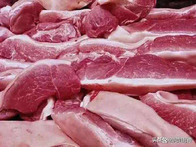 买猪肉猪乳房那能吃吗图标