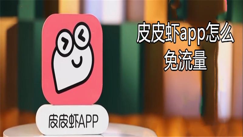 皮皮虾什么卡免流量图标
