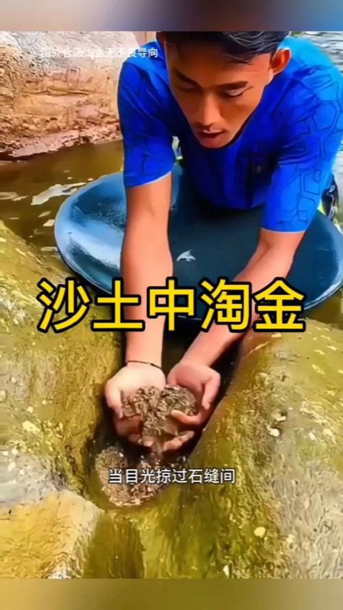 挖金达人图标