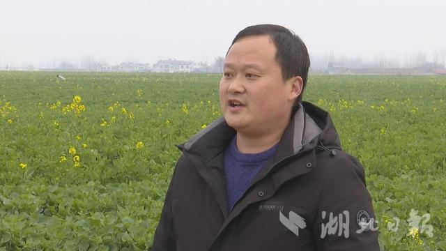 钟祥最新消息截图