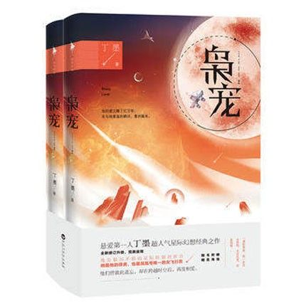 丁墨的小说图标