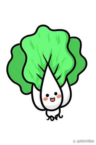 白菜表情符号emoji图标