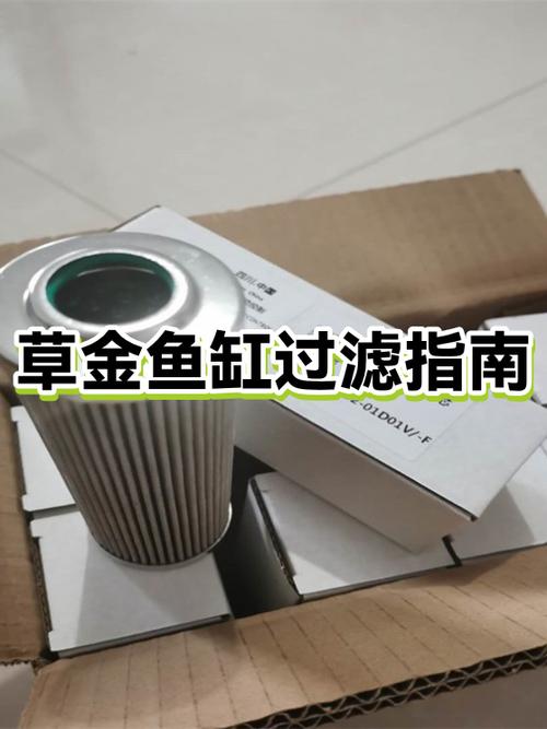 小鱼缸最好的过滤方式图标