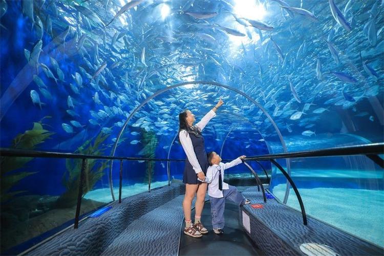 海洋奇幻馆图标