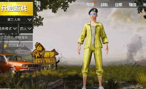 刺激战场最隐蔽的衣服图标