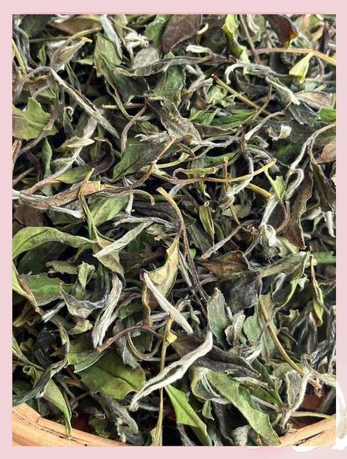 荒野贡眉的功效和特点图标