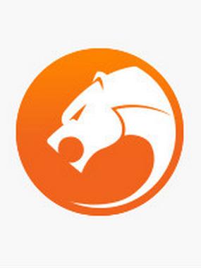 猎豹手机浏览器图标