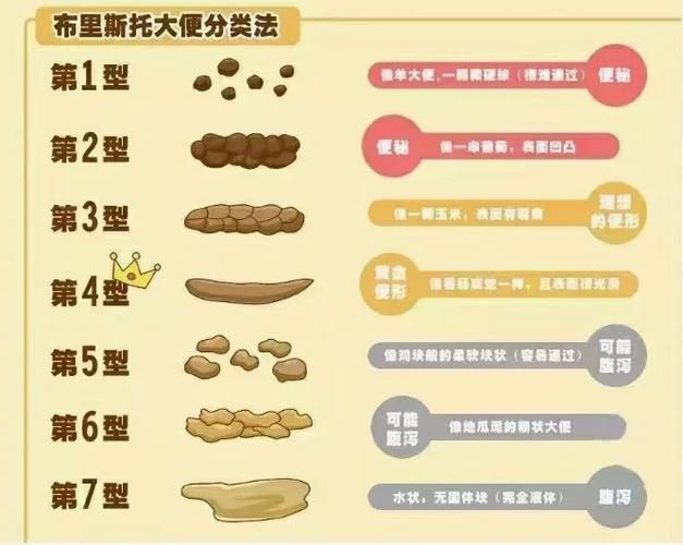 女人一个星期不拉大便图标
