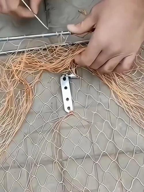 抓100只图标