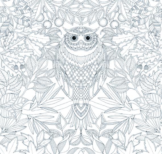 秘密花园涂色作品高清欣赏截图