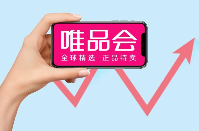 唯品会极速版和唯品会一样吗图标