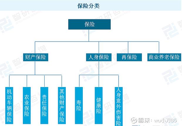 保险有几种类型图标