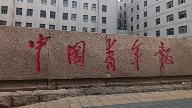 青年报社图标